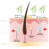 Smelly Scalp: 6 Simple Ways to Keep It Fresh